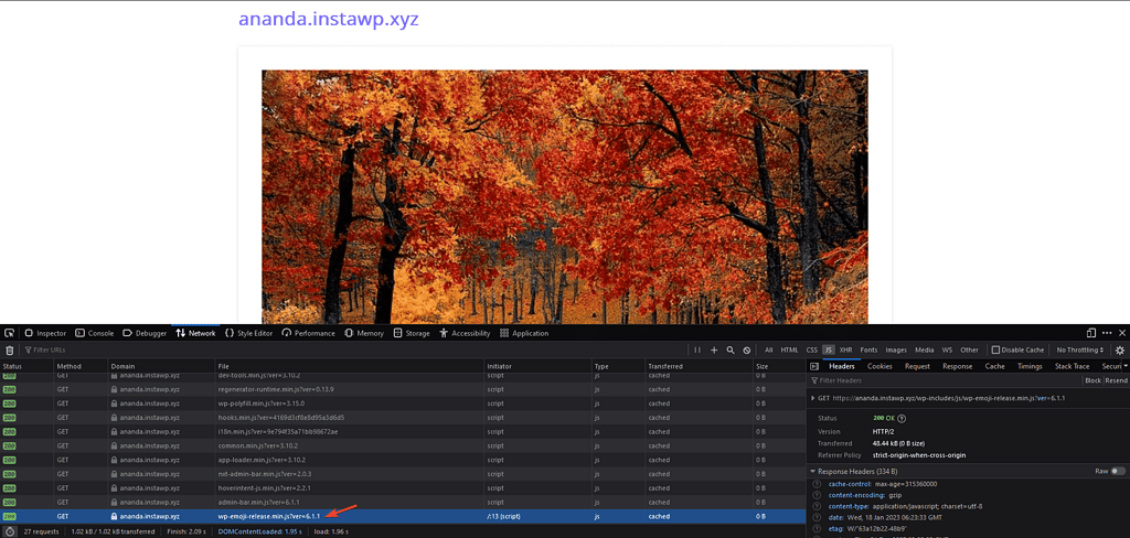 How to Disable Emojis Script for WordPress Website? - Nexter WordPress Theme