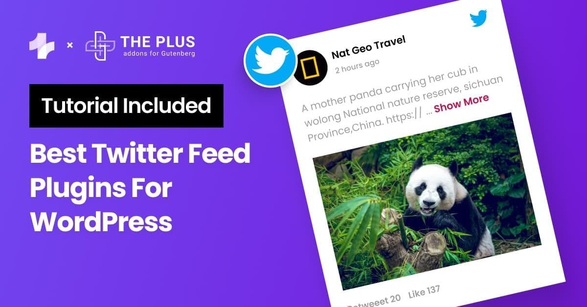 Best Twitter Feed Plugins for WordPress 2026 | Nexter WP