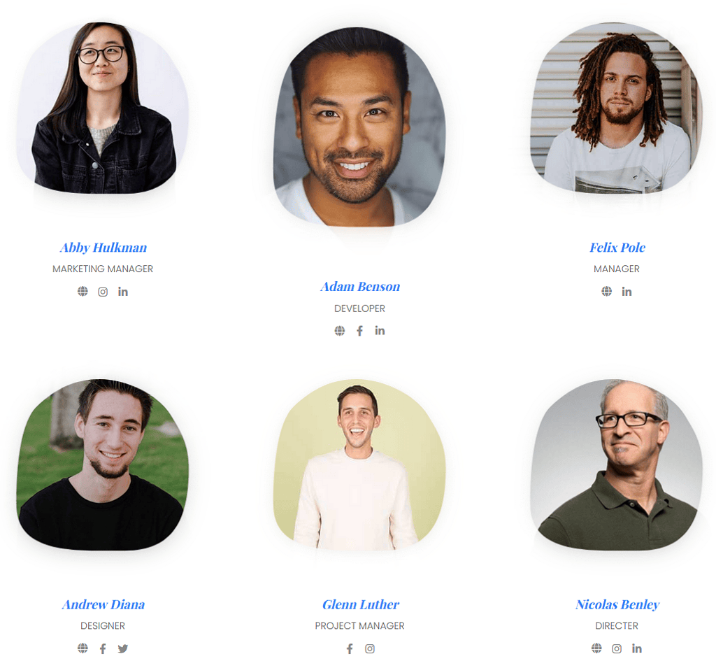 How to Show Team Member Listing in Grid Layout in WordPress?